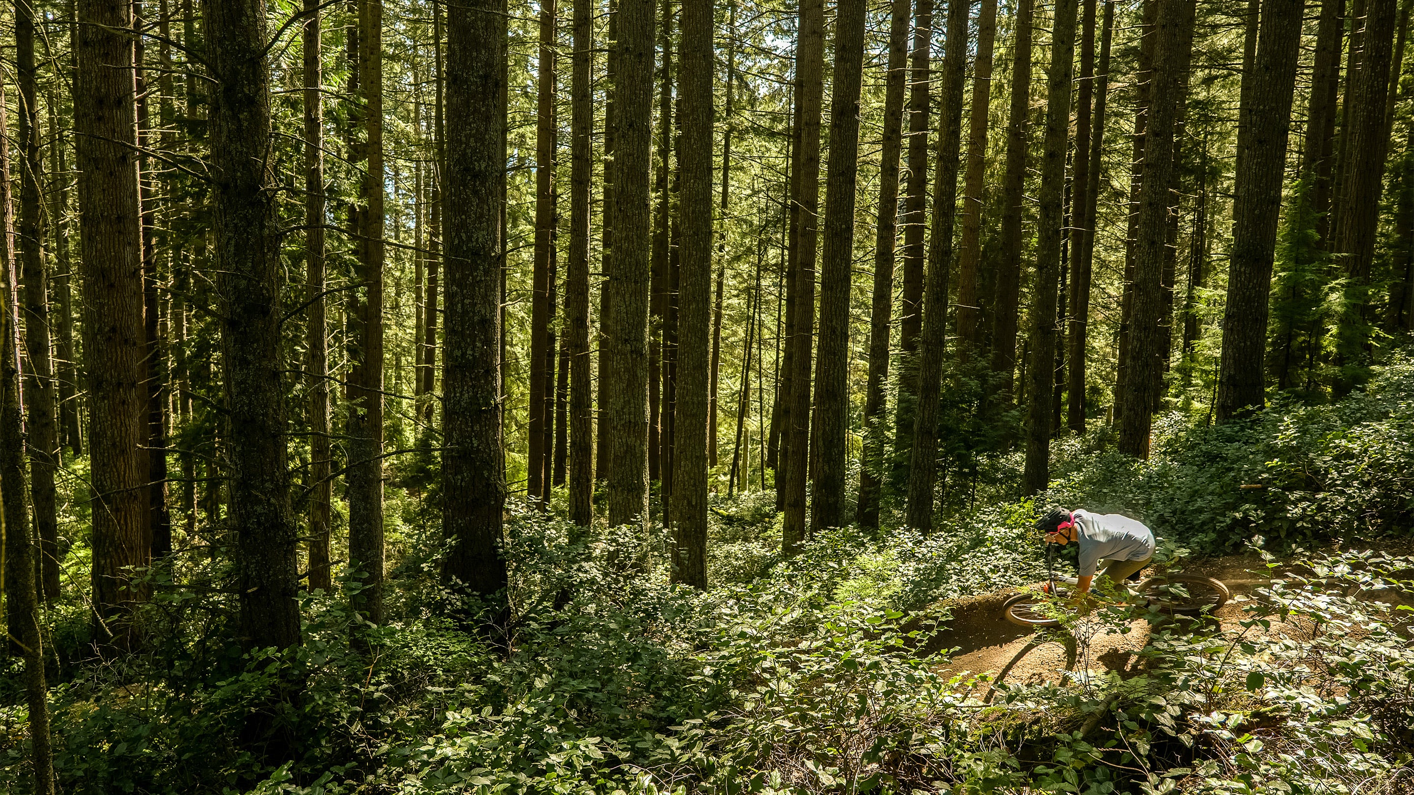 Summer Wheel Sale – Stan's