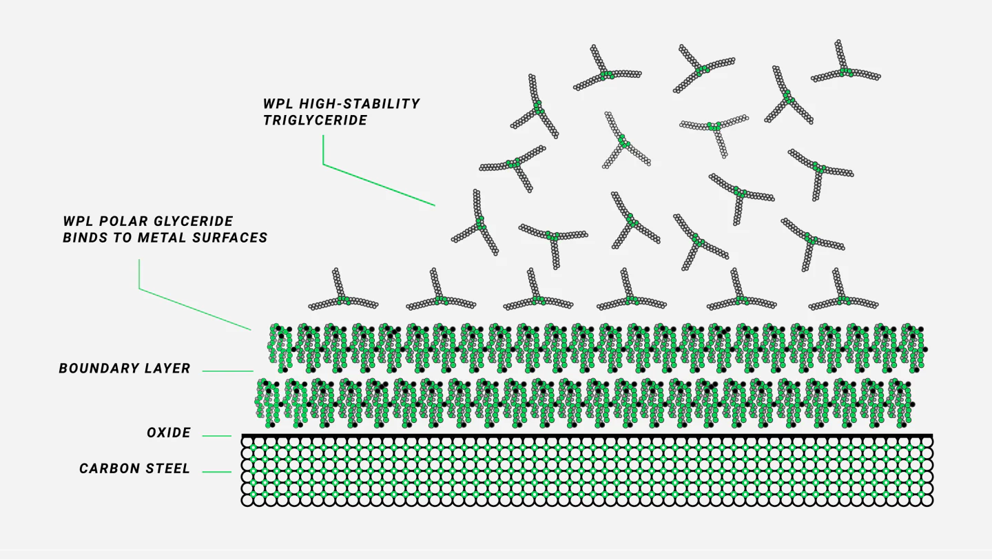 Biobased Ingredients – Stan's