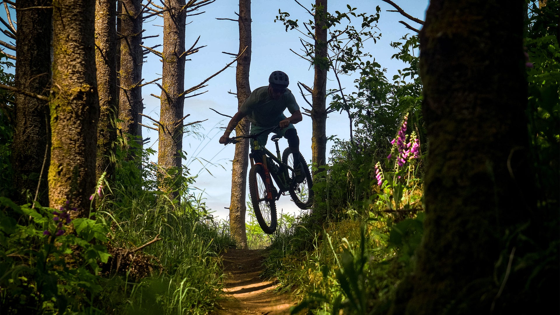 Stan's – The First Name in Tubeless